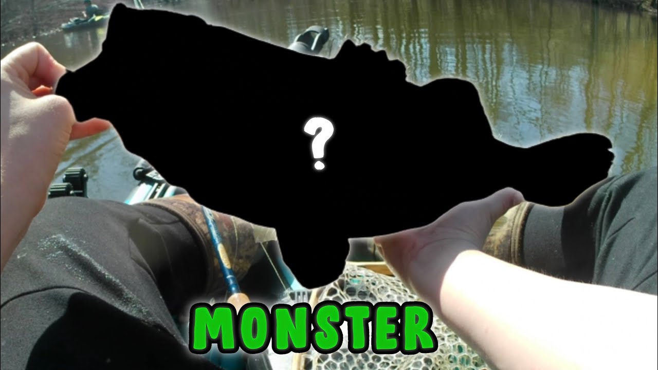 Catching GIANT SWAMP BASS in flooded pond in the woods - YouTube