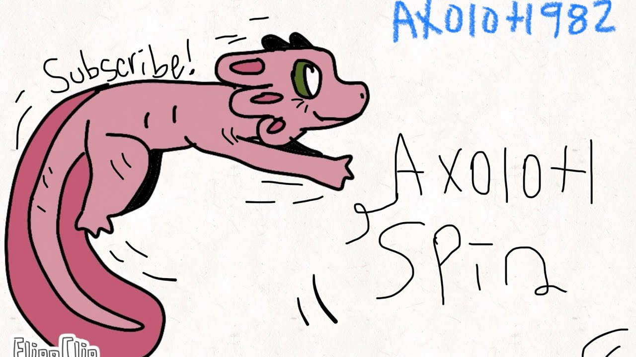 Axolotl Spin//Animation - YouTube