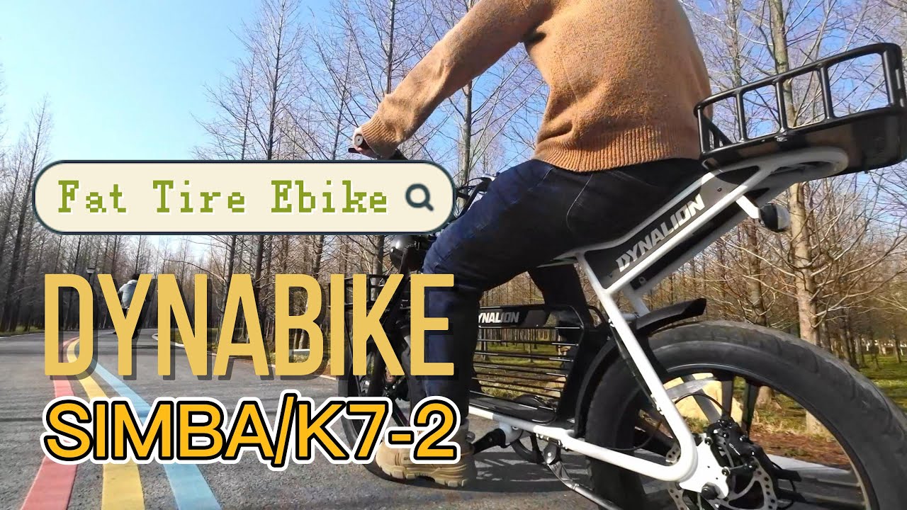 Dynabike Simba Fat Tire Ebike - YouTube