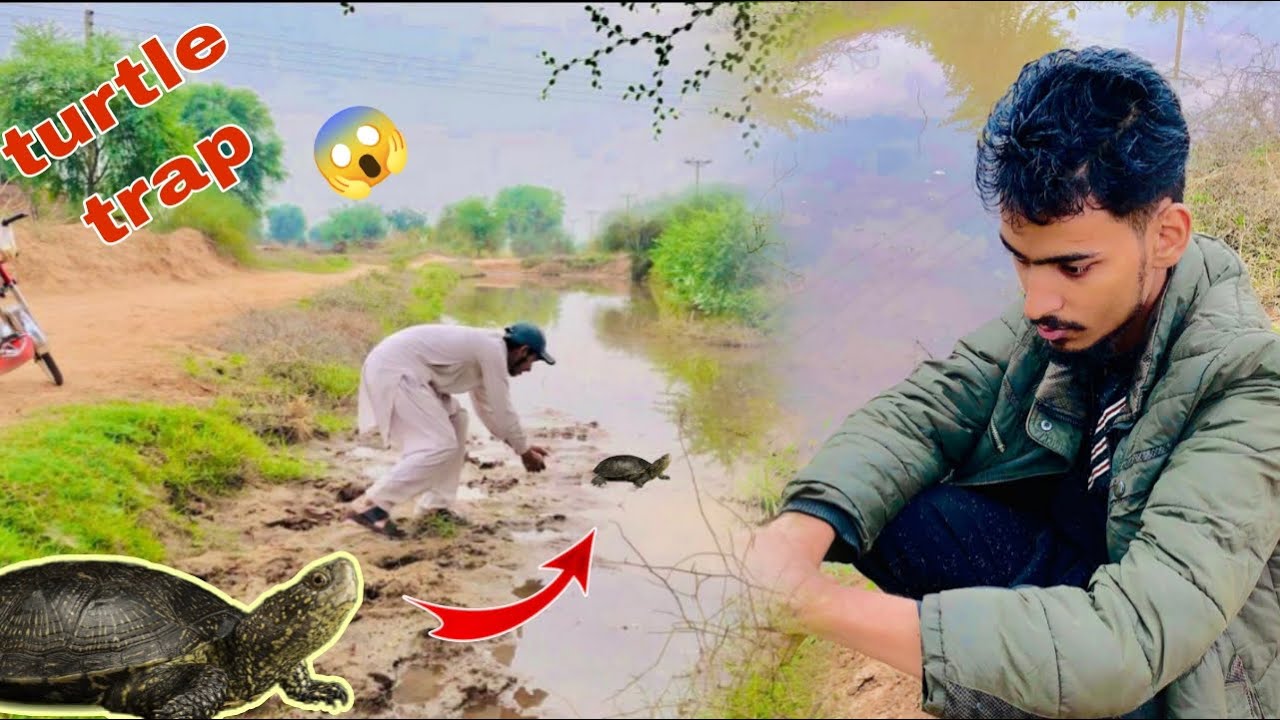 Turtle🐢 traps kr lia🥰 lekin😓 easy trap turtle🐢 in water - YouTube