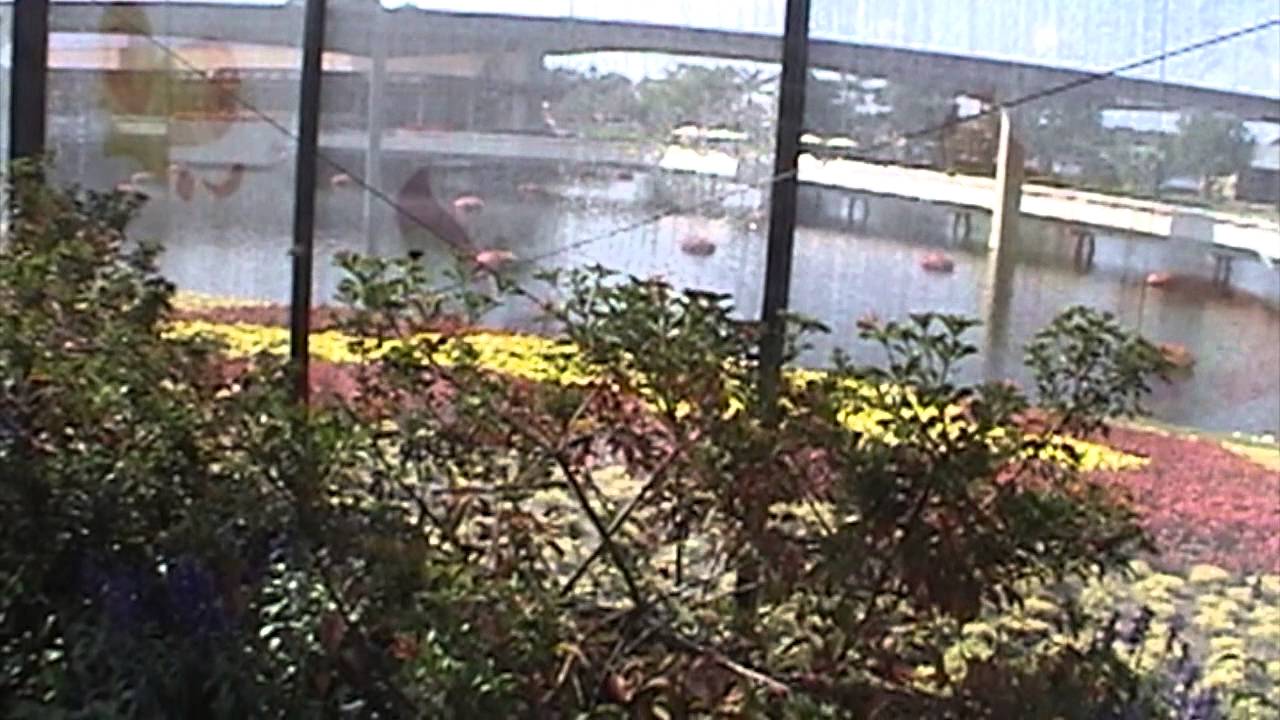 Minnie's Magnificent Butterfly Garden at Epcot (2008) - YouTube