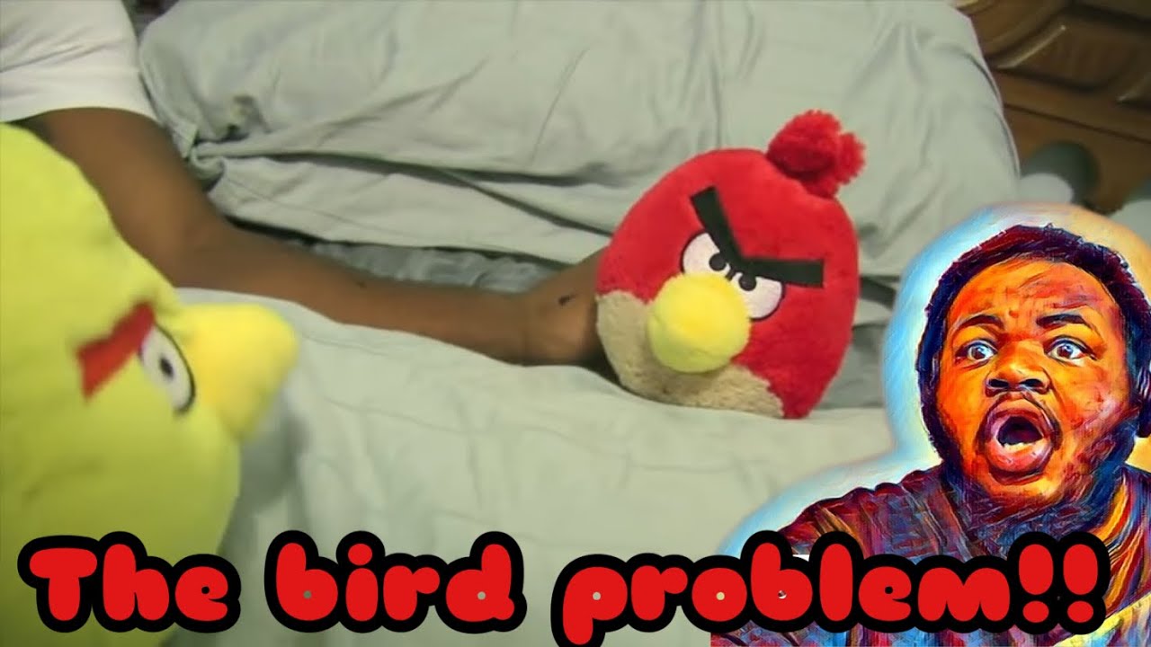 SML Movie: A Bird Problem (REACTION) #sml #jeffy #reaction 😂🐤🔠 - YouTube