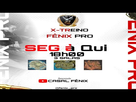 XT FÊNIX PRO - CASAL FÊNIX FREE FIRE