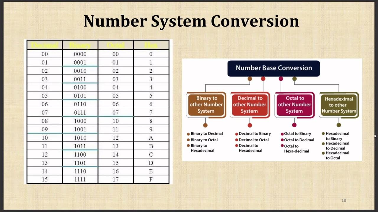 Number System - Basic types and conversion - YouTube