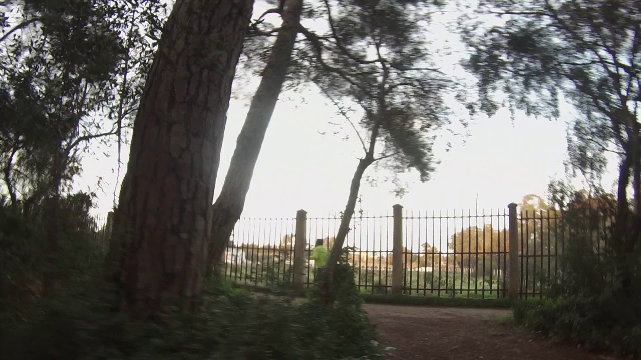Foret de bouchaoui - YouTube