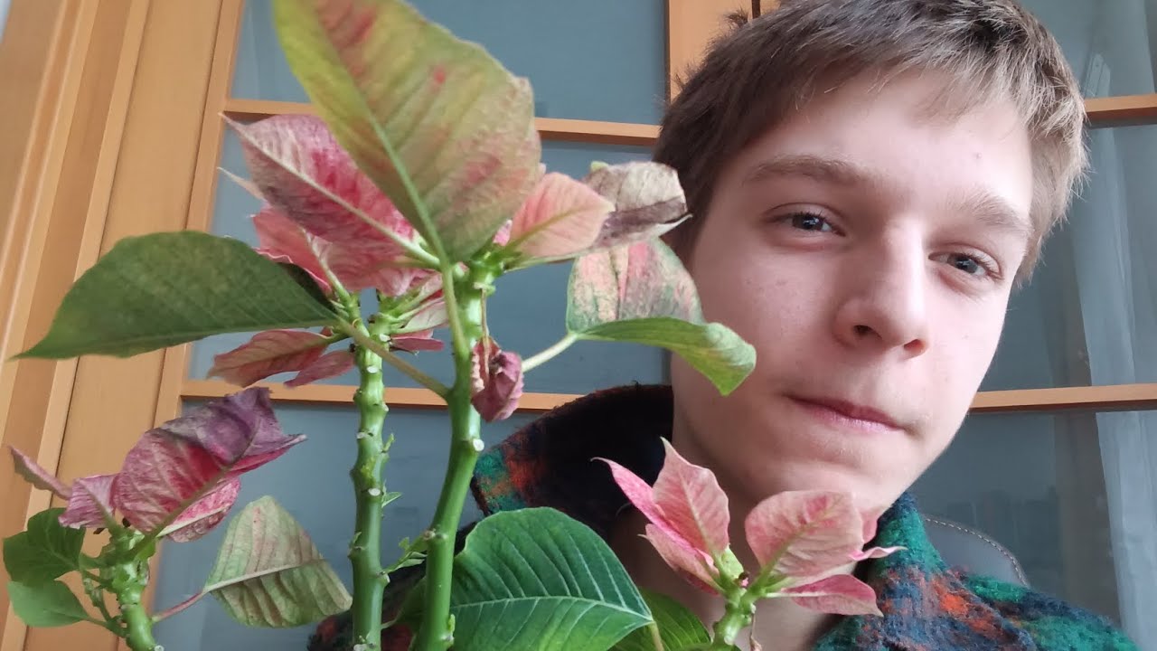 Do This To Become More Human. - YouTube