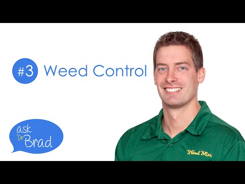 Does Weedman Put Pest Control