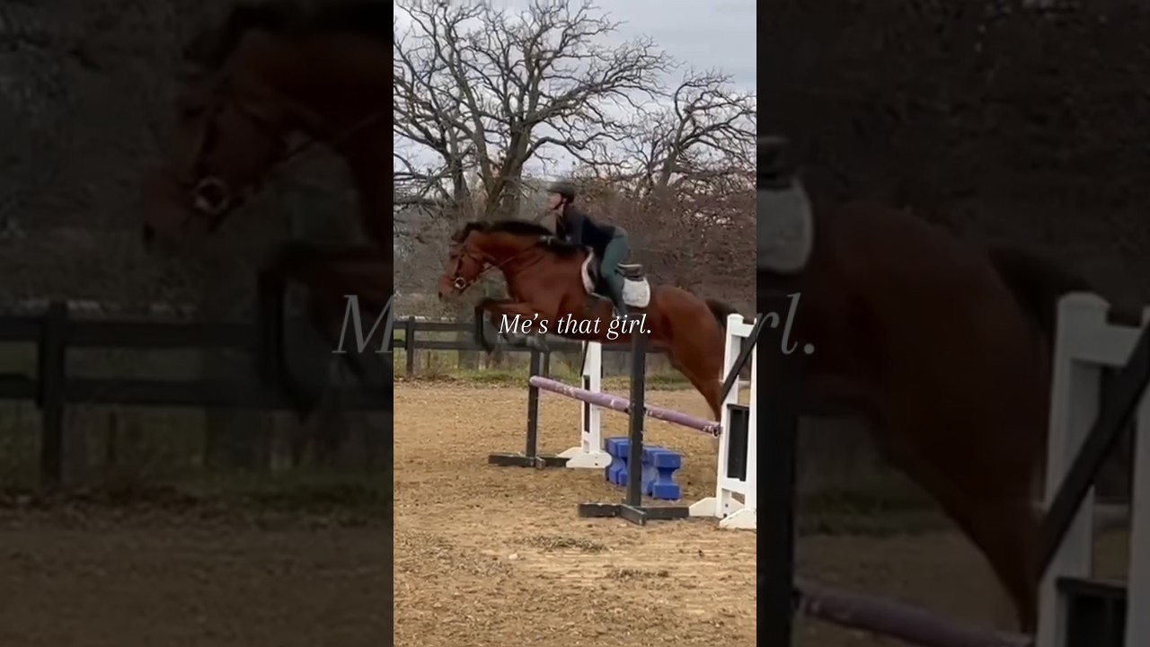 Me’s that girl ️#charlieblue #oldenburg #equestrian #horse #horseriding ...
