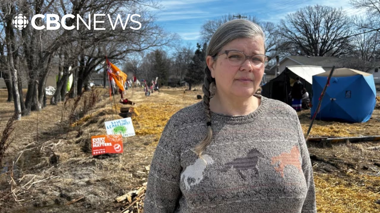 Tree cutting possible 'any moment now' at Lemay Forest, says protester ...