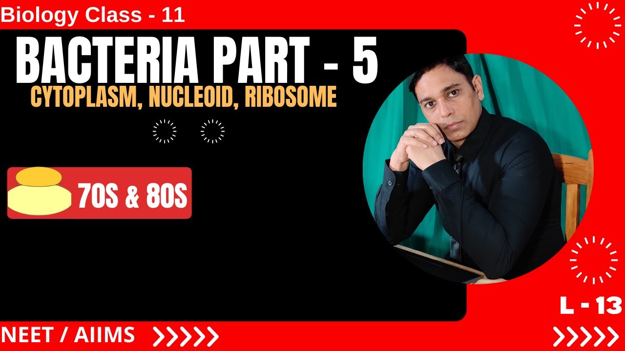 Biological Classification | Bacteria Part 5 | Lecture 13 | Biology ...