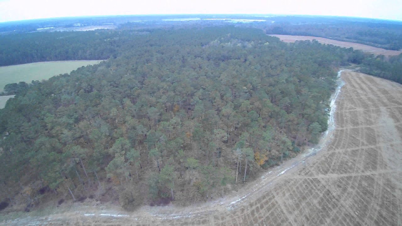 George Hi Plantation - Orvis Endorsed Wingshooting Lodge, Garland NC ...