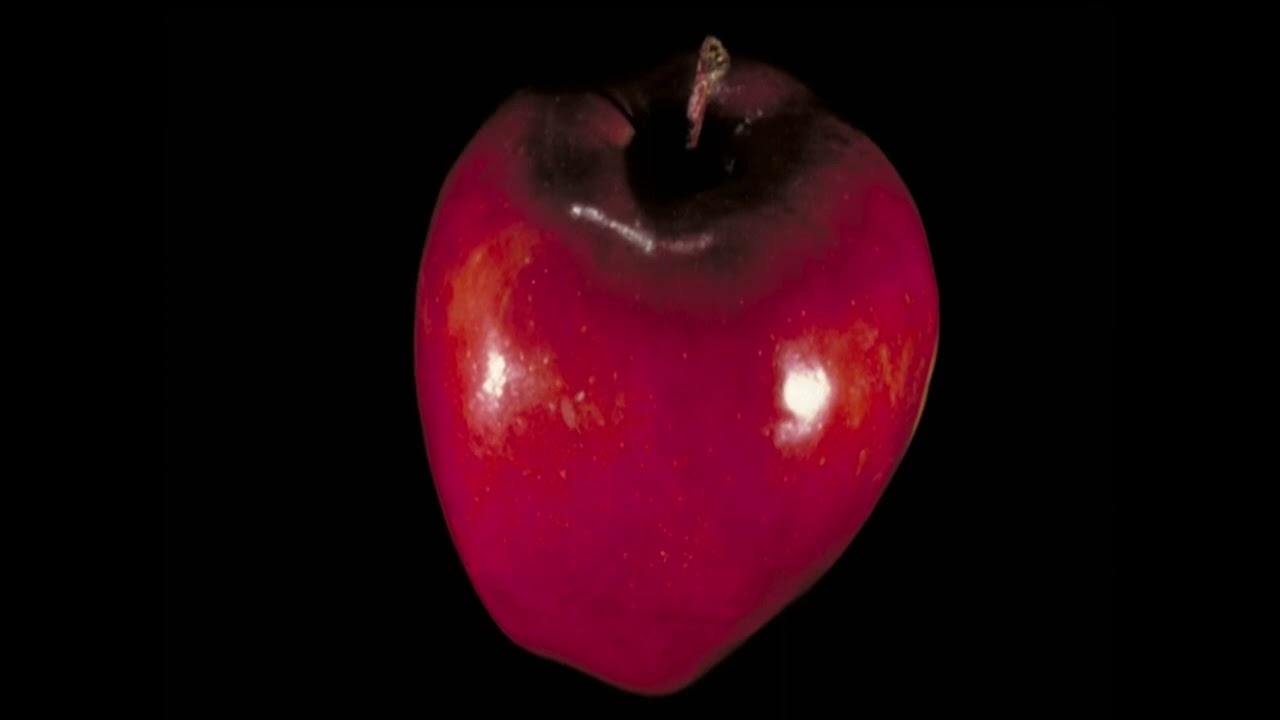 Baby Mozart Bard the Dragon/Fruit Pictures Remake - YouTube