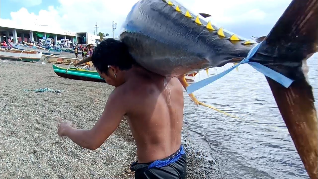 EP12 P17 Pagdidiskarga ng mga isda - YouTube