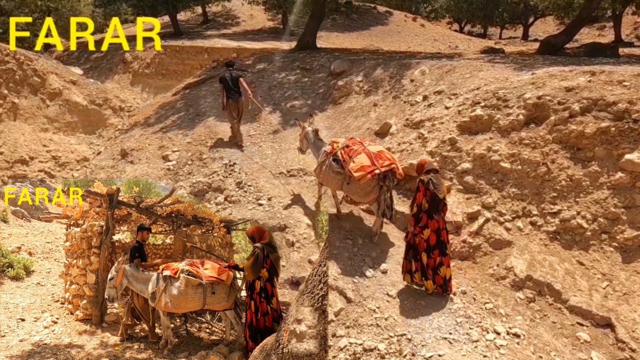 🌾🌍 Journey to the Heartland: Discovering Nomadic Farmers & Their Lush ...