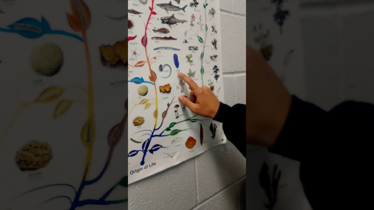 Correct names - YouTube