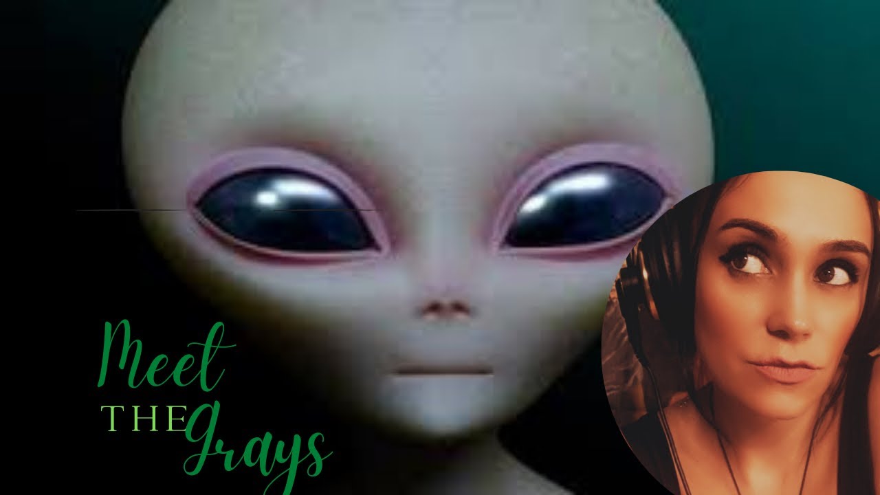 Meet the Grays (An in depth look into “the alien grays” and what they ...