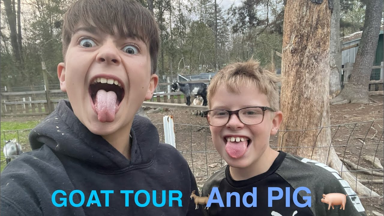 GOAT TOUR!!!!🐐🐐🐐+pig 🤫 🐷 🐷 - YouTube