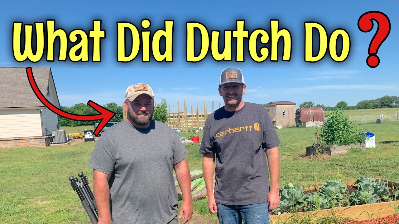 You Won’t Believe What Keeping It DUTCH Did - YouTube