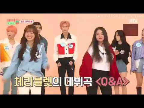 [Idol Room] Episode 46 #3 - NCT, PENTAGON, KENTA, Samuel, GWSN, (G)IDLE, CHERRY BULLET (ENG