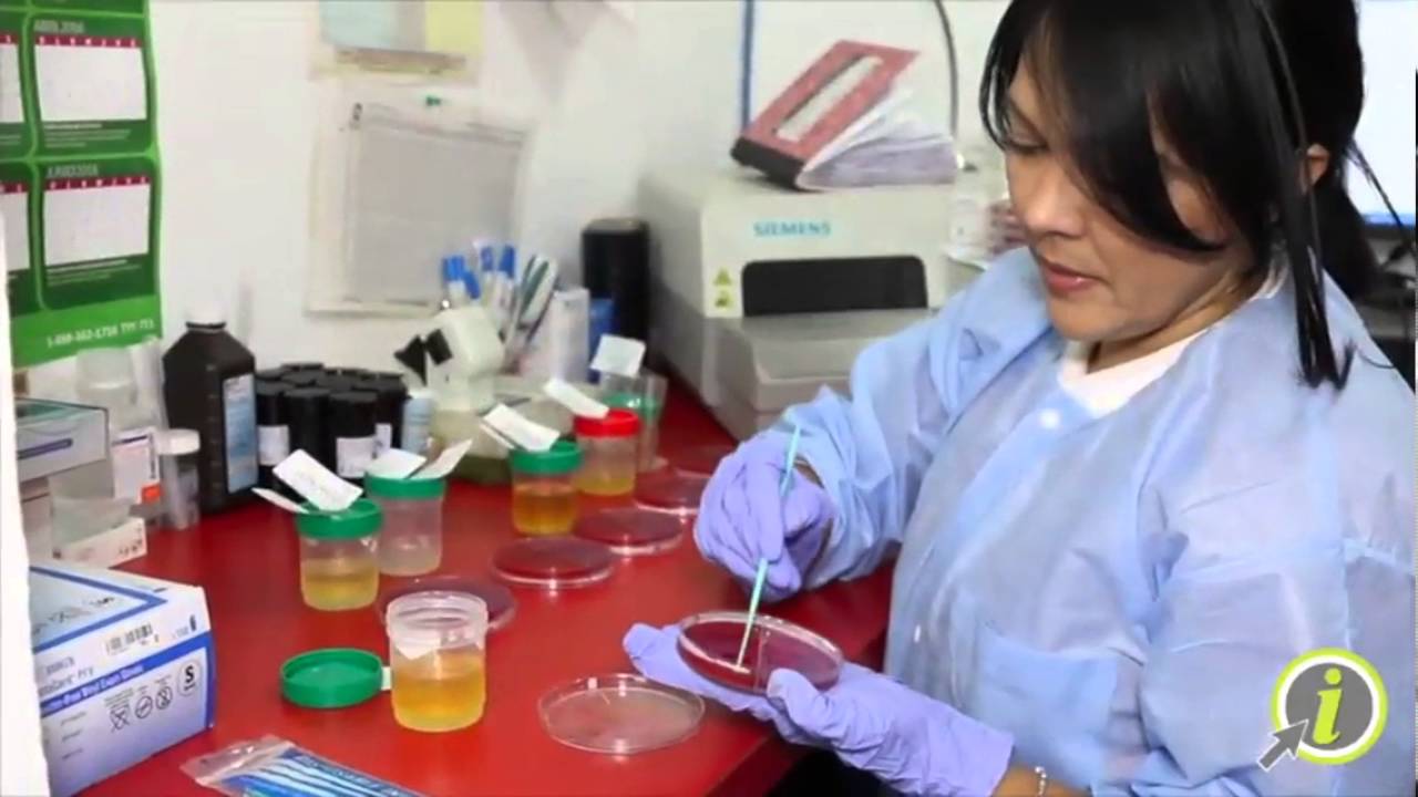 Laboratorio Ponce Clinical - (787) 841-4846 - YouTube