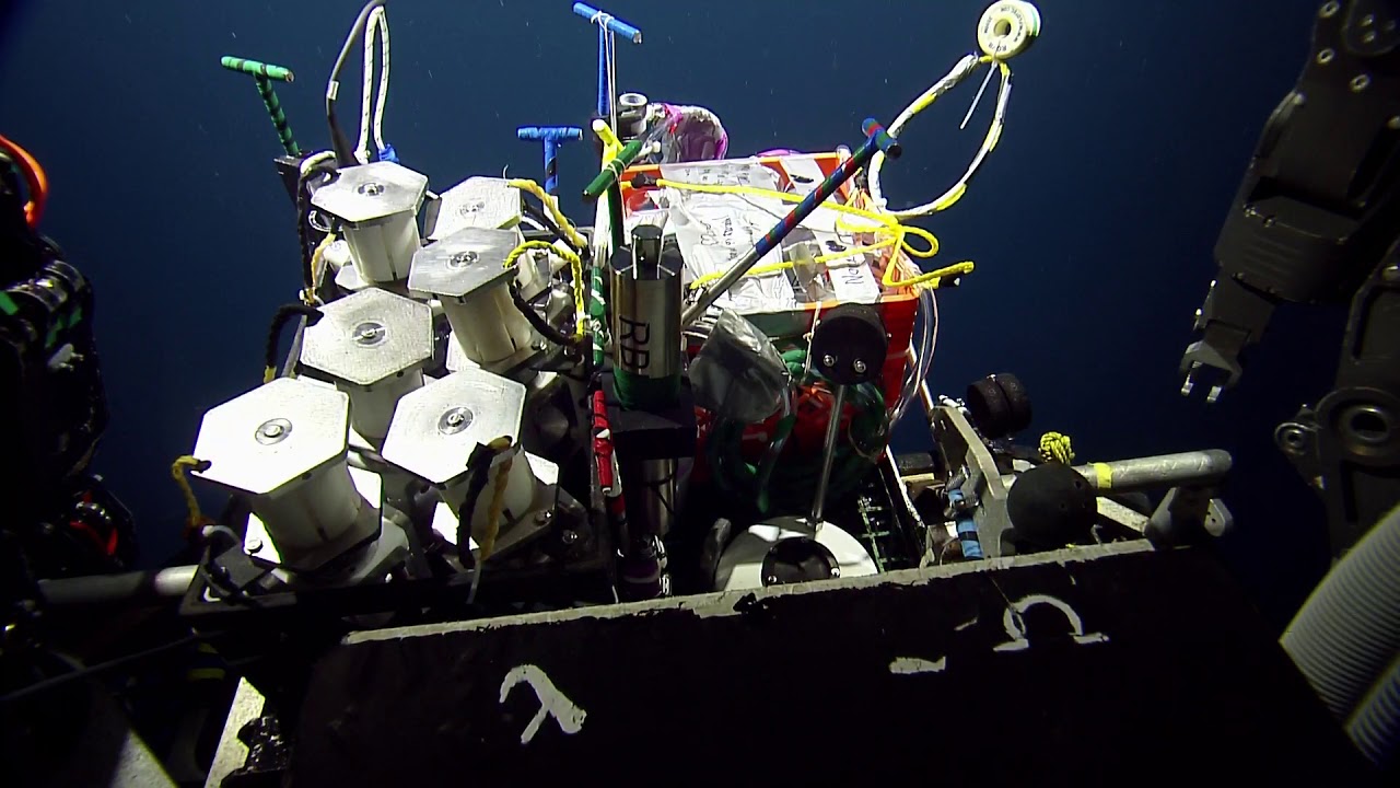 ROV Hercules Dive NA117-H1795-20191014T0613UTC-82 - YouTube