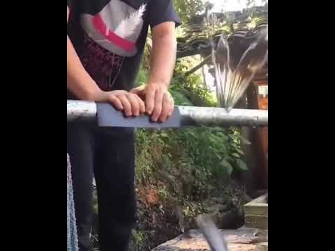 yaratıcı videolor eğlence pratik geliştrici