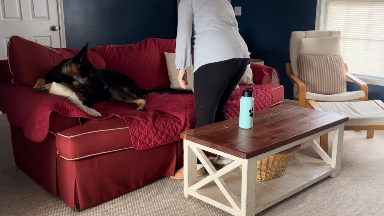 Short 10 Minute Tidy-up! Set your timers - YouTube