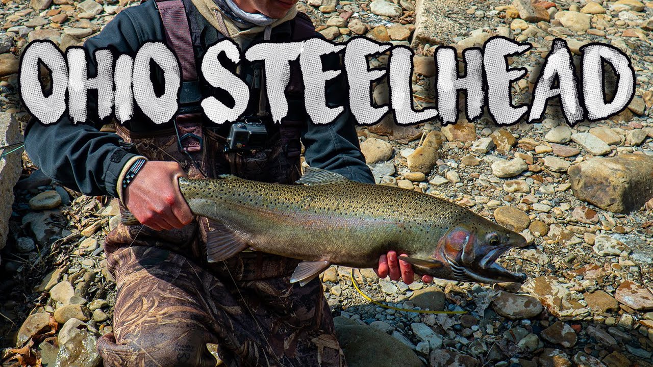 Spring Steelhead Fishing in Ohio! - YouTube
