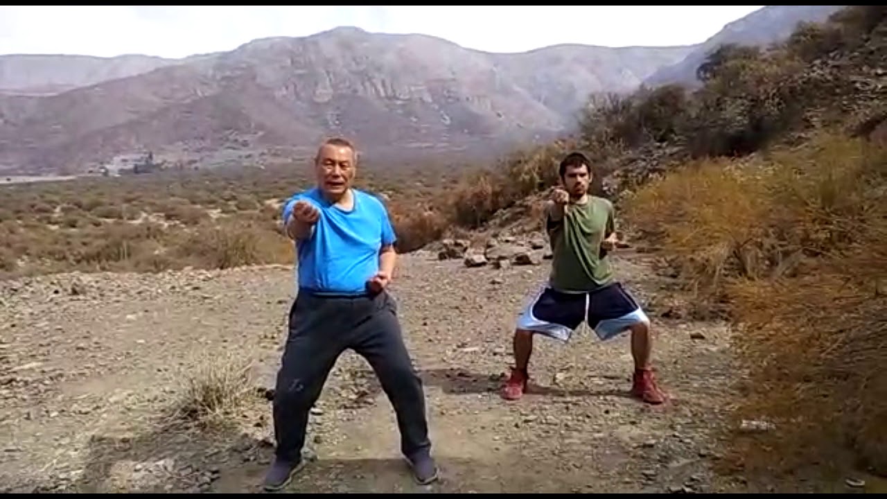 Yu Po Yang Qigong 8 Sedas 7de8 - YouTube