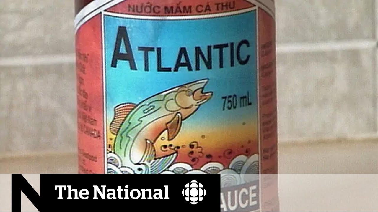 Stinky, rotten fish sauce has residents of Newfoundland town demanding ...
