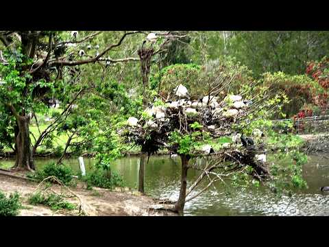 Lake Alford 2022, Queensland, Australia
