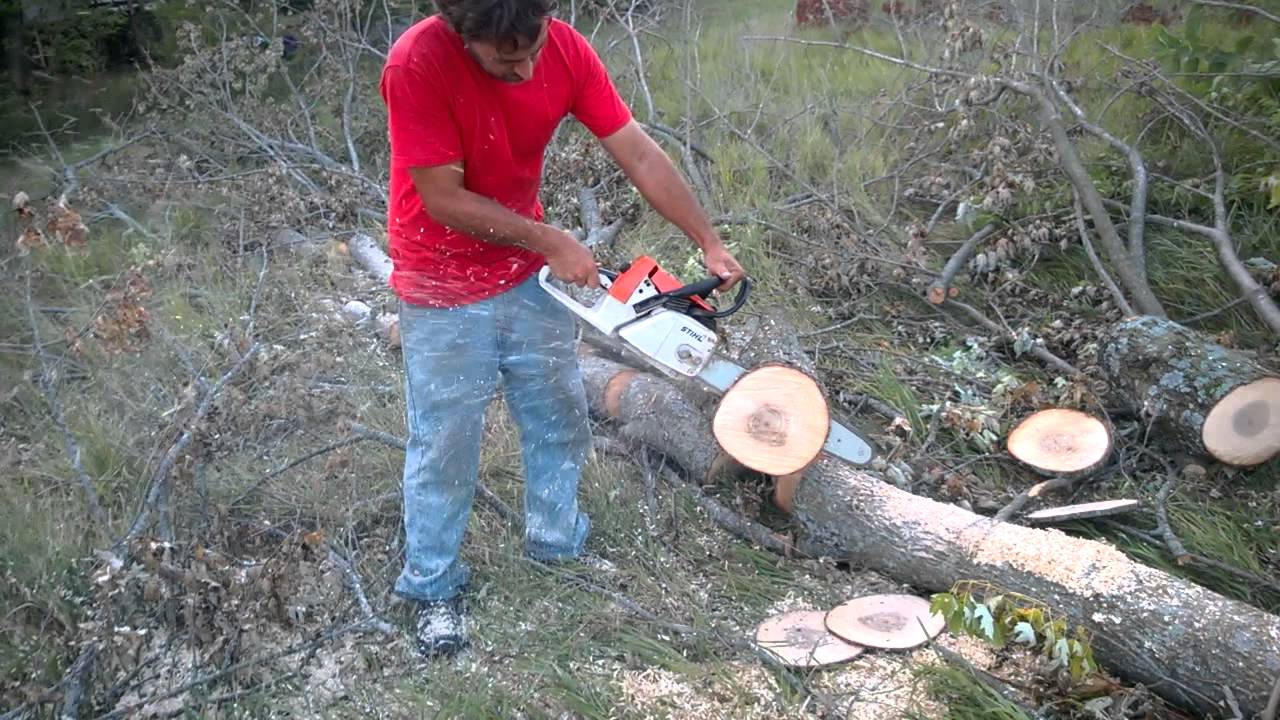 Ported Stihl 026 in hard maple - YouTube