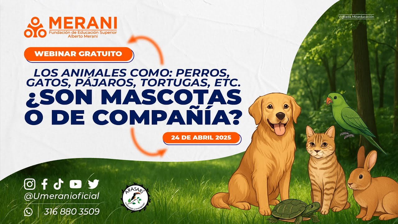 Webinar - Los animales como perros, gatos, pájaros... ¿son mascotas o ...