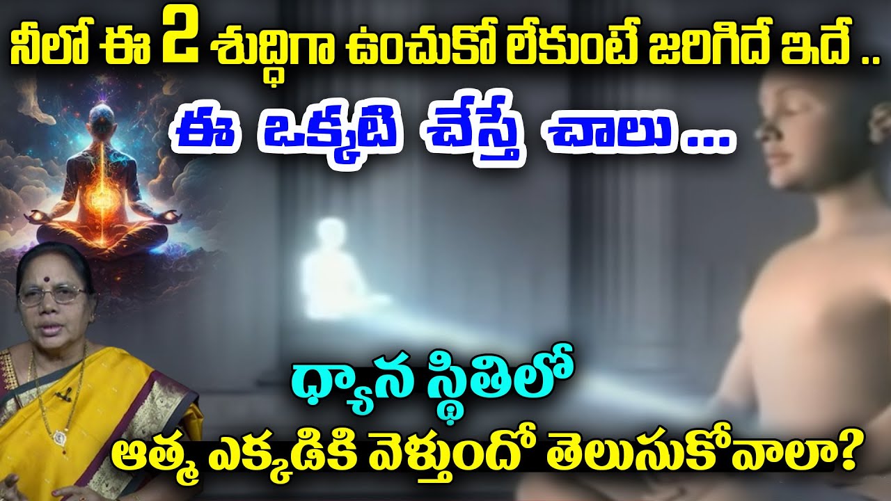 నీలో ఈరెండిటిని శుద్ధిగాఉంచుకో లేకుంటే జరిగిదే ఇదే|Patanjali Yoga ...