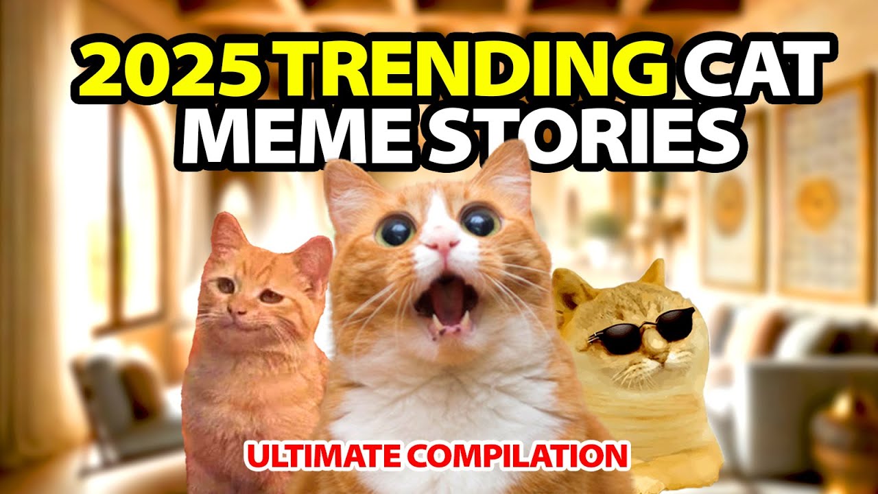 Cat MEMES Stories: Trending 2025 | Ultimate Compilation - YouTube