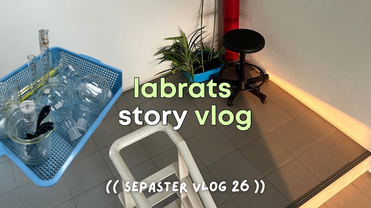 (vlog 26) labrats story - YouTube