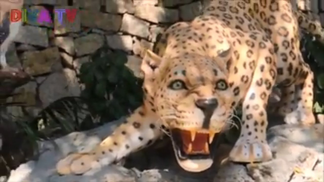 Outdoor kids zoo park fun for kids and family - YouTube