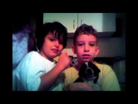 Copiii romani isi  arata suportul  pentru cauza  maidanezilor  (Bob Sinclair - World Hold On)