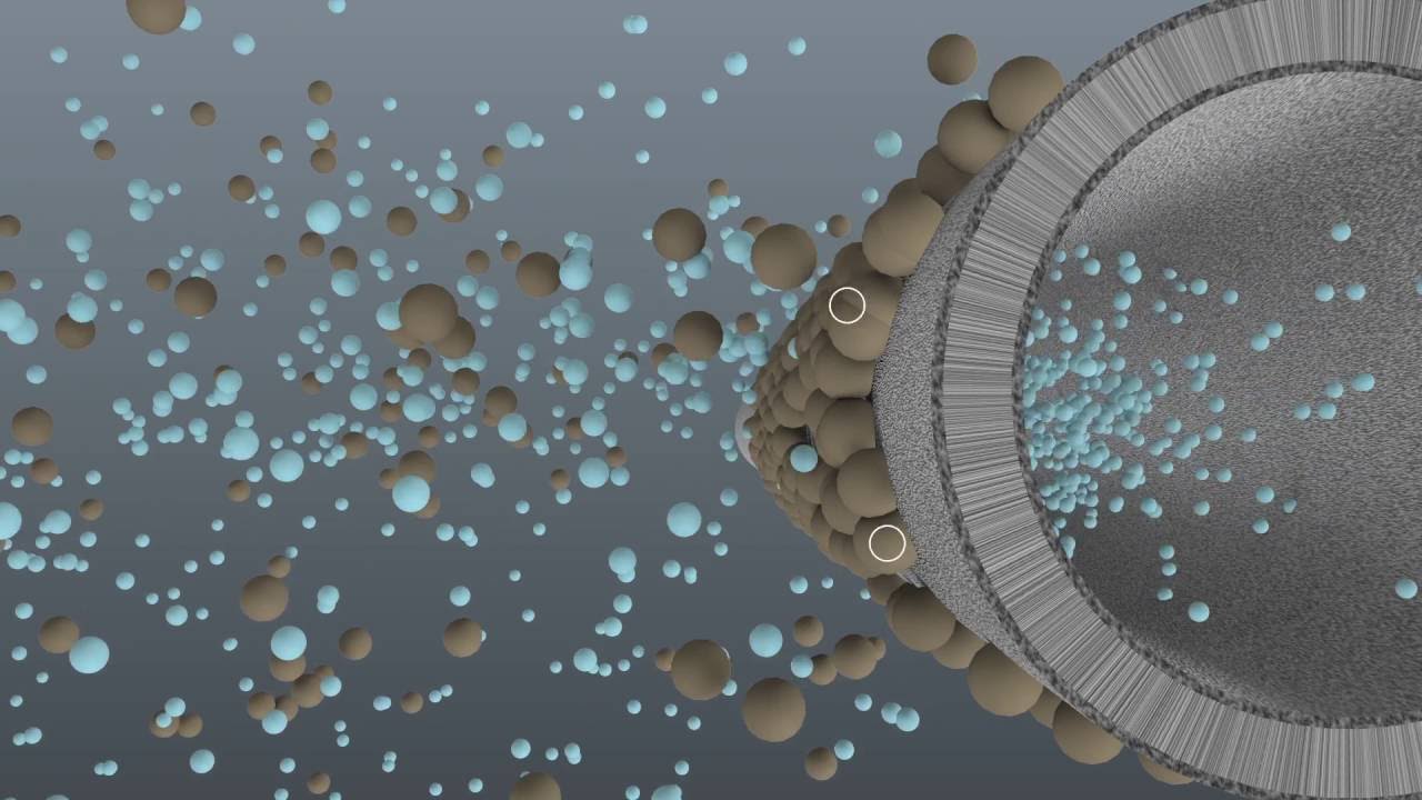 Hollow Fiber Modules: This is how AQUADYN® works - YouTube