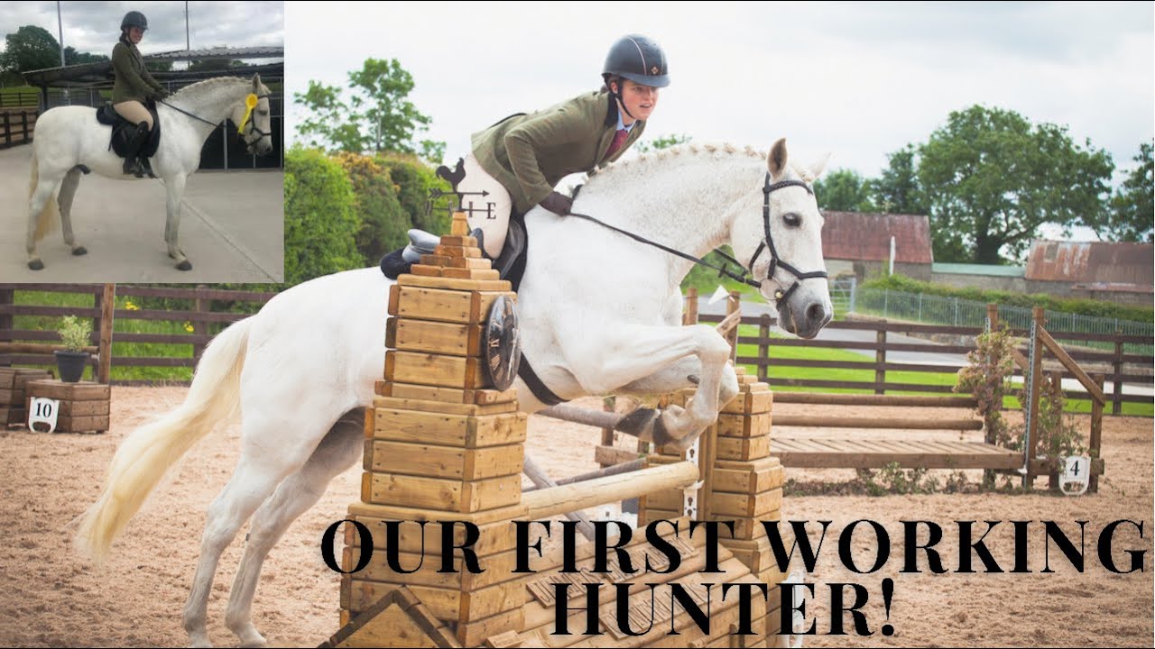 OUR FIRST WORKING HUNTER! / show vlog - YouTube