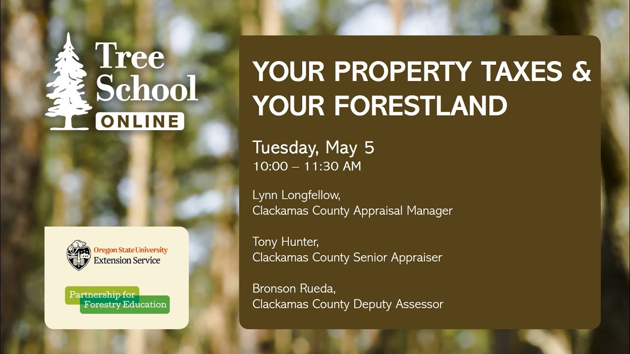 Tree School Online: Your Property Taxes & Your Forestland - YouTube