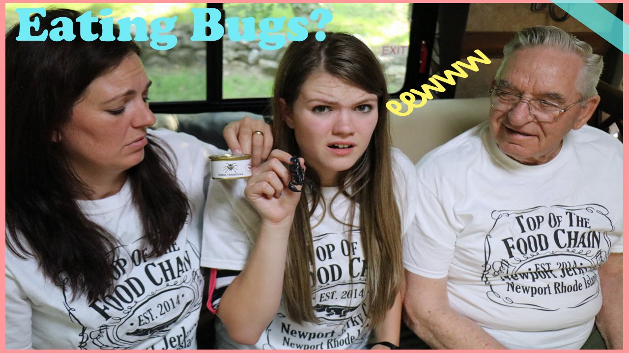 Eating Bugs Challenge! - YouTube