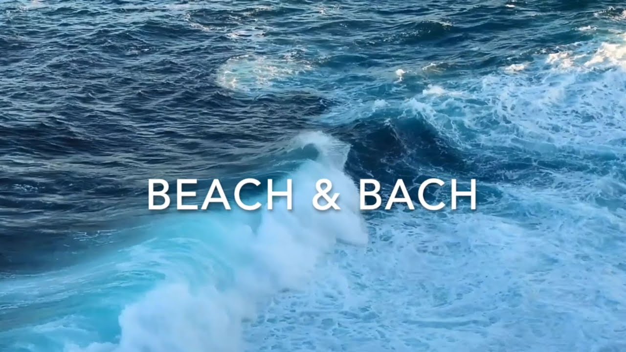 TRAILER BEACH & BACH - YouTube