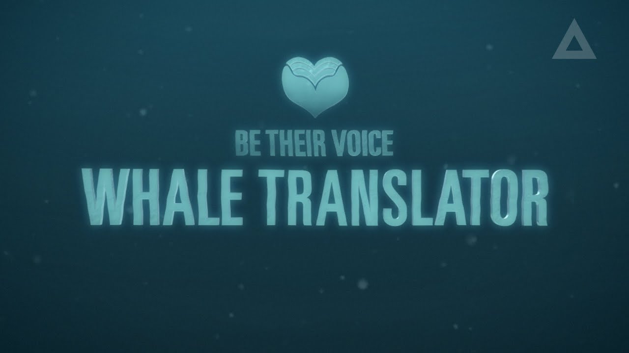 Ocean Care & WDC "Whale Translator" - YouTube