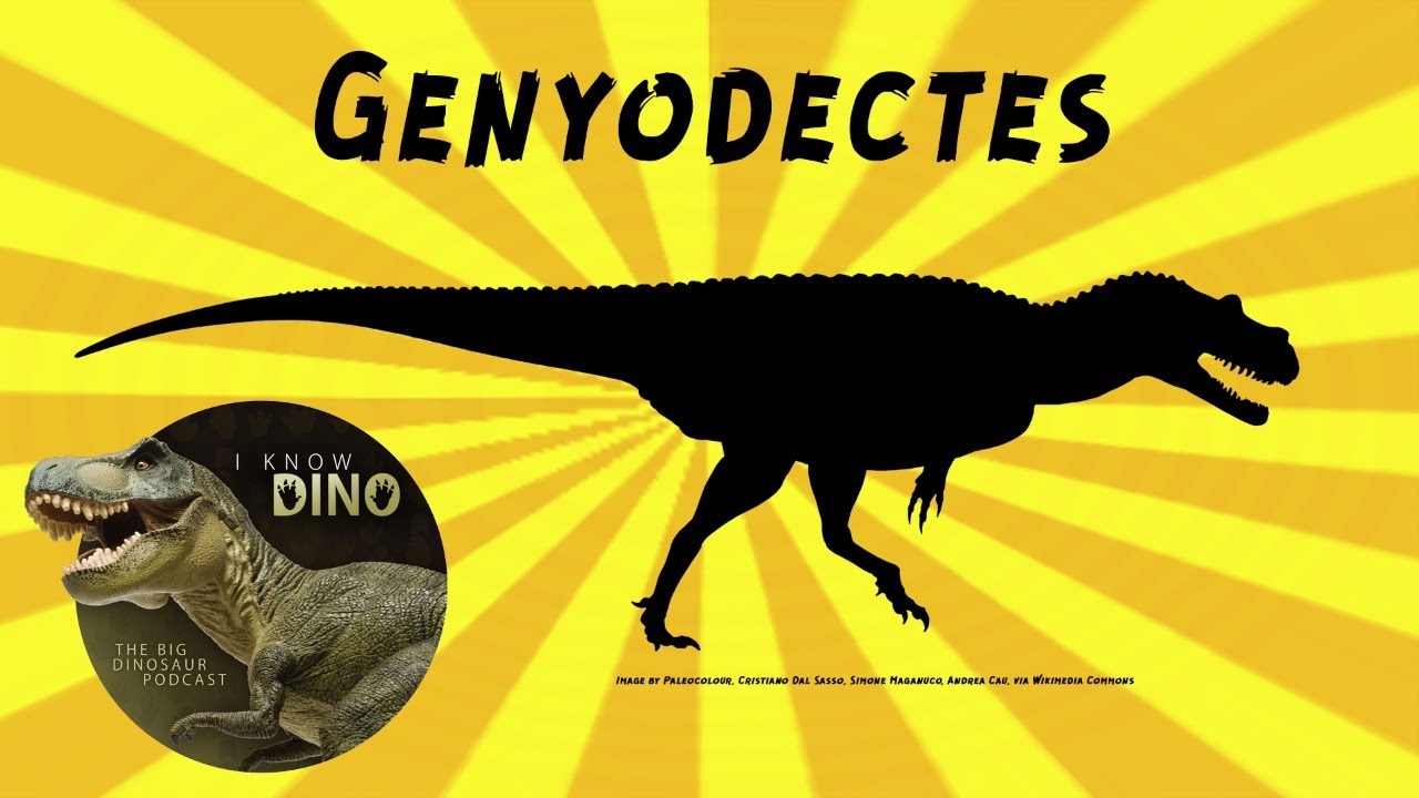 Genyodectes: Dinosaur of the Day - YouTube