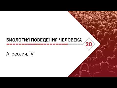 Биология поведения человека: Лекция #20. Агрессия, IV [Роберт Сапольски, 2010]