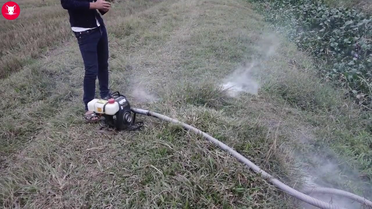 Mouse Trap ! Catch Mouse at field with Smoke Machine - YouTube