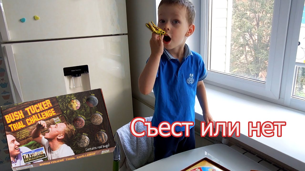 VLOG: Утро, собаки / Bush Tucker Trial Challenge / Что в моем телефоне ...