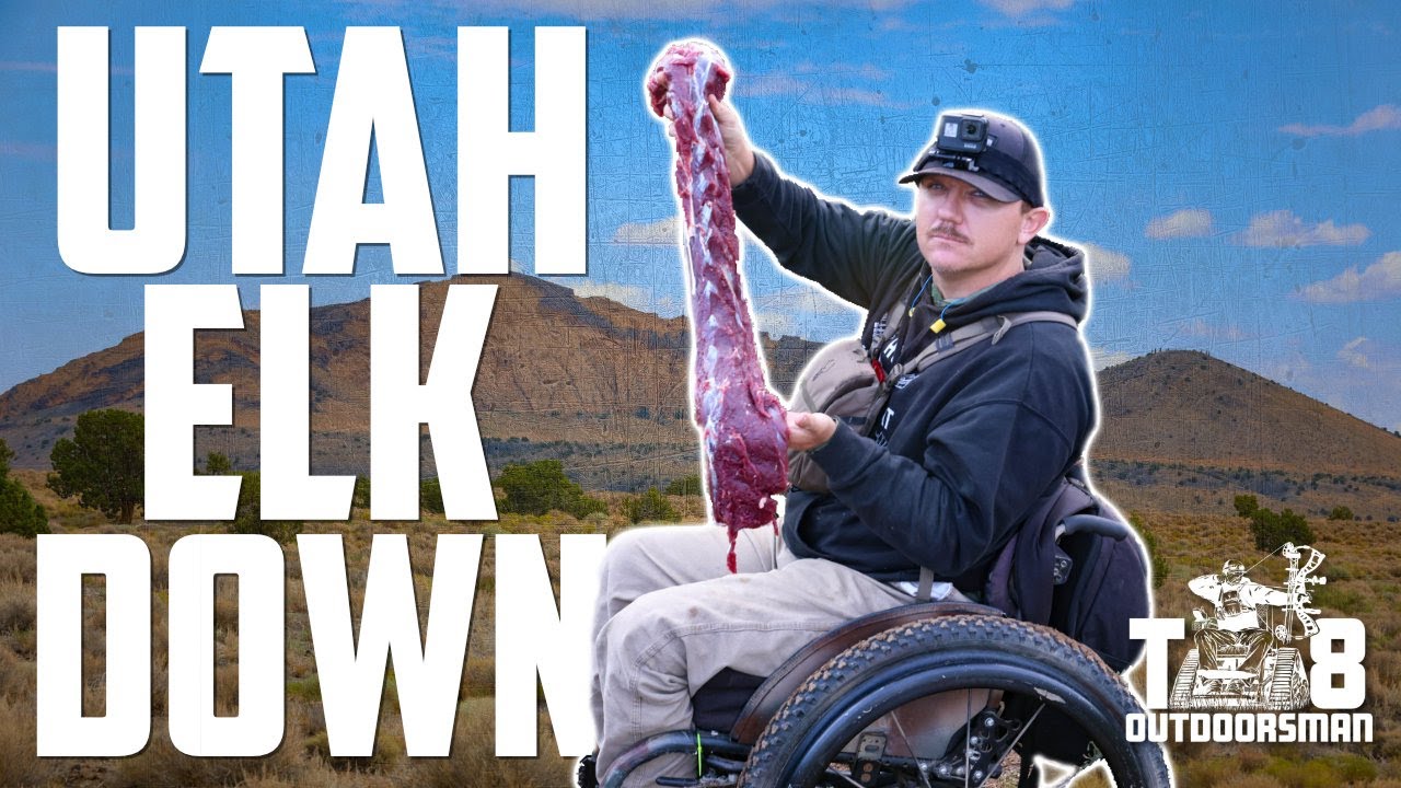 Paraplegic hunts massive cow elk in UTAH! - YouTube