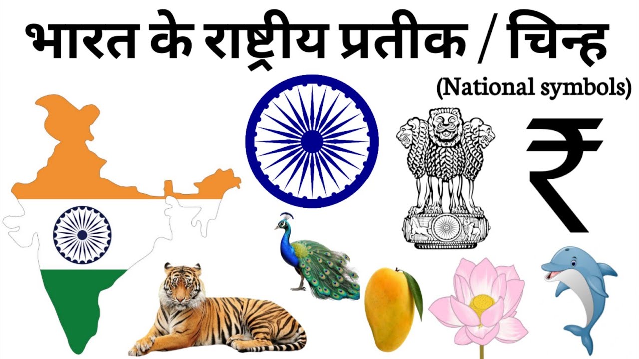 भारत के राष्ट्रीय प्रतीक / चिन्ह | National Symbols of India ||bharat ...